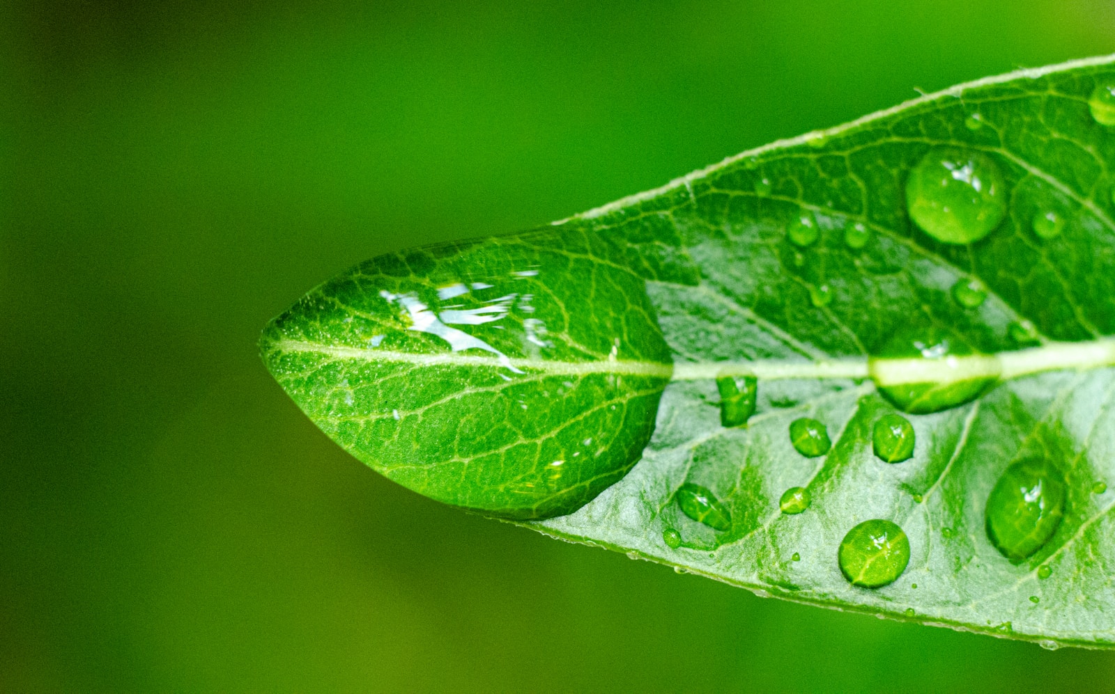 How to Find Clean Water in the Wild: A Beginner's Guide - Outdoor ...