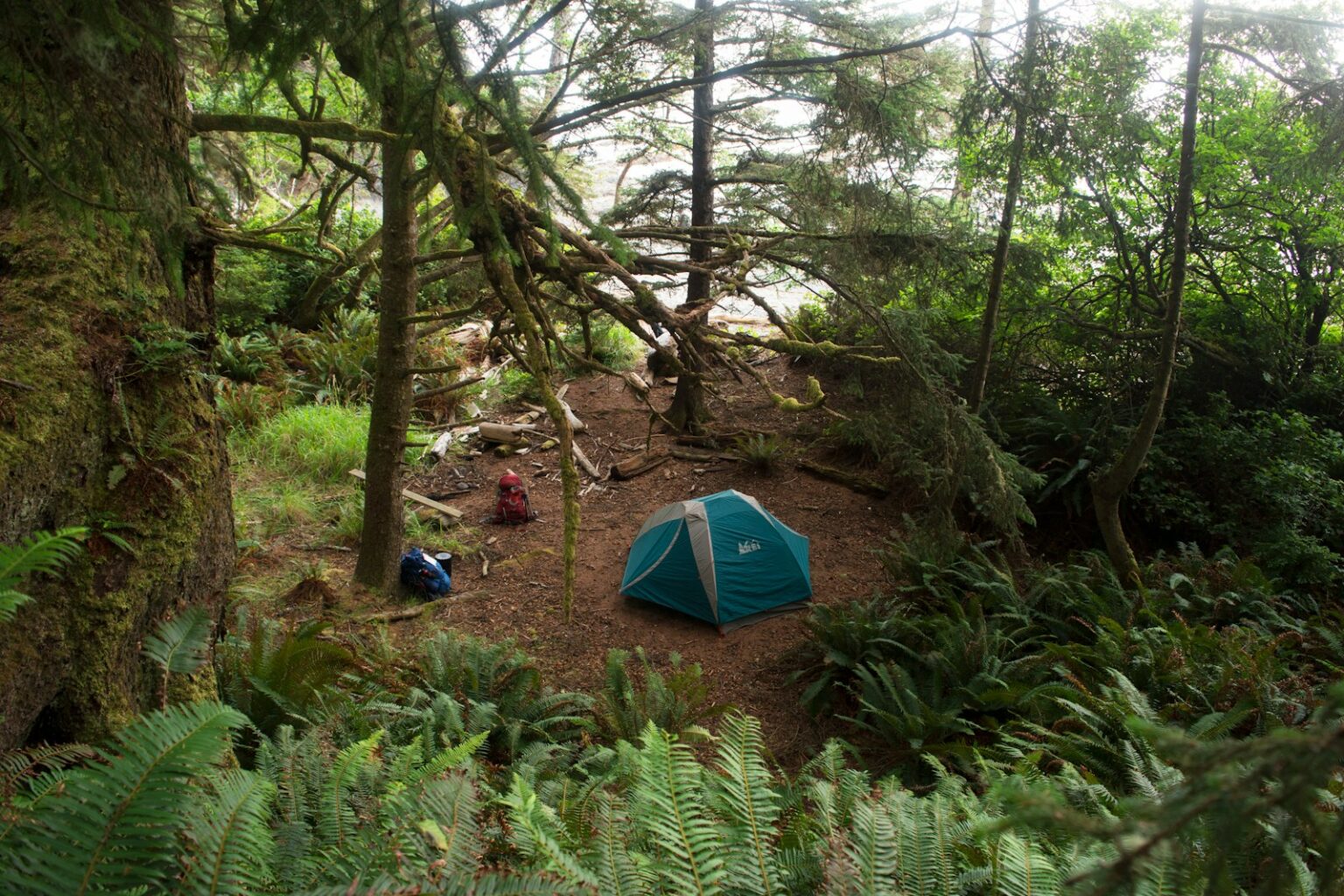 Camp Like a Pro: 12 Hacks from Seasoned Outdoor Enthusiasts - Outdoor ...
